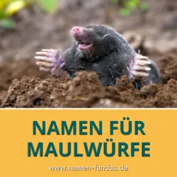 Die große Tiernamen Sammlung | namen-fundus.de