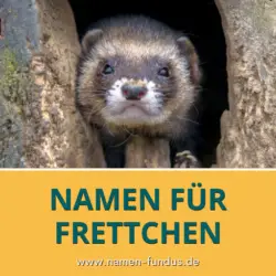 Witzige Namen Fur Gegenstande